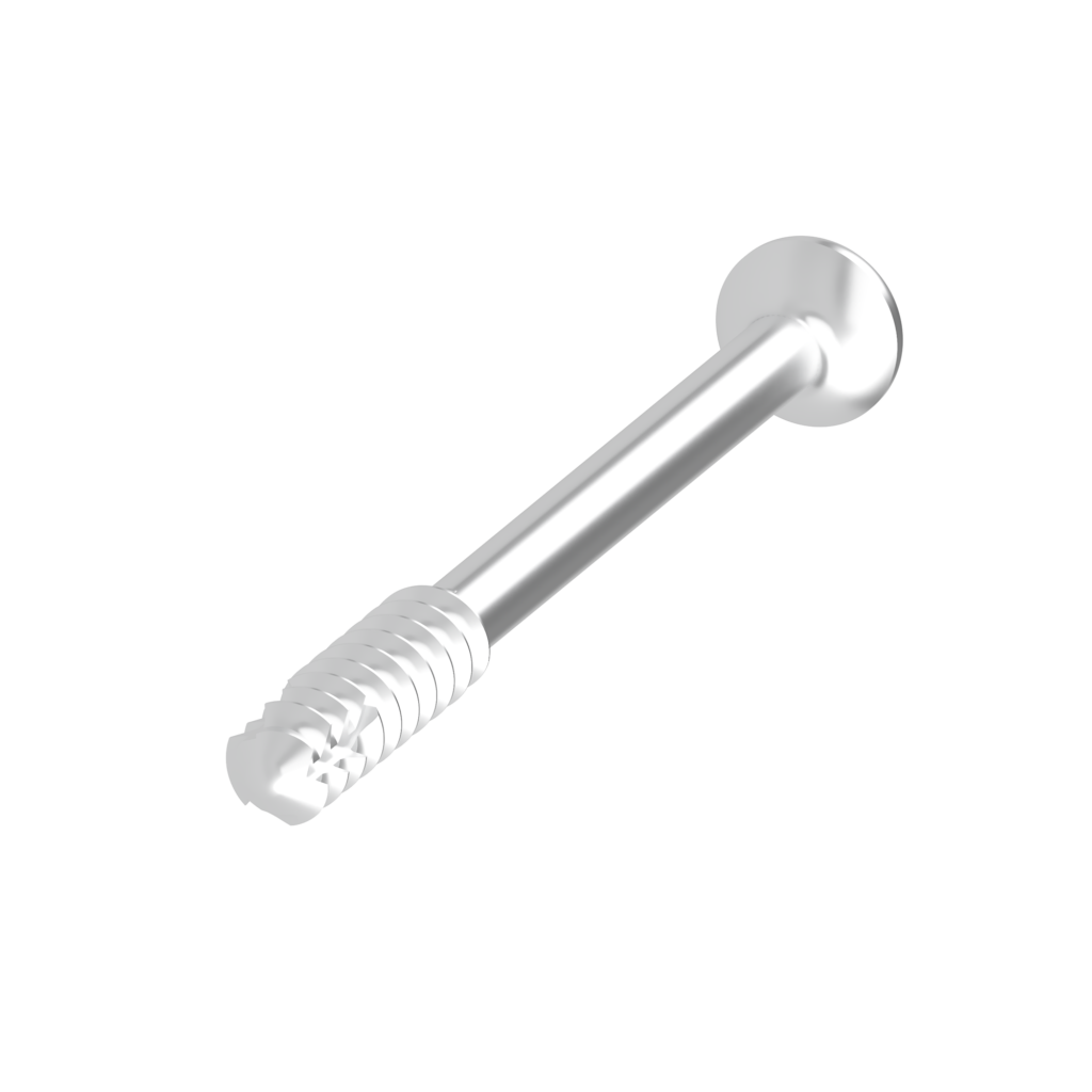 RemeOs™ Screw LAG Solid | RemeOs
